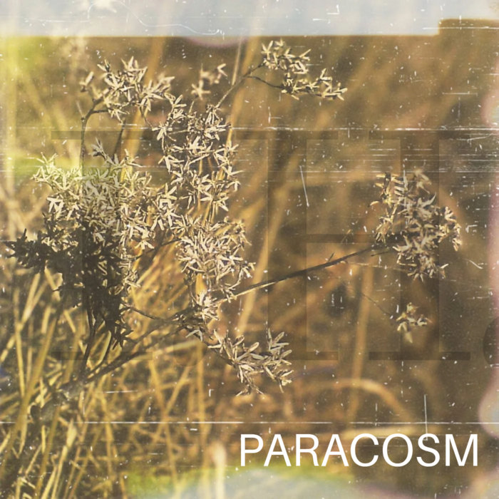 Paracosm | Invisible Heads