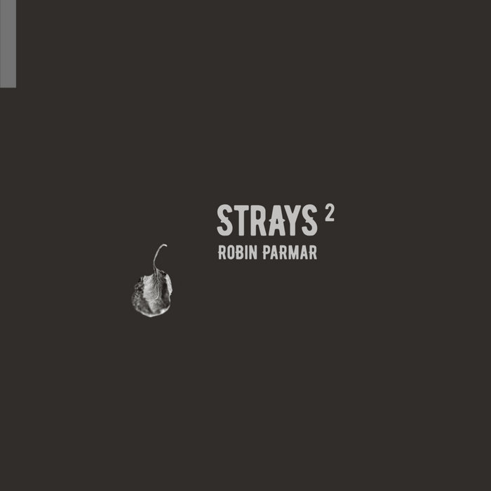 Strays 2 | Robin Parmar