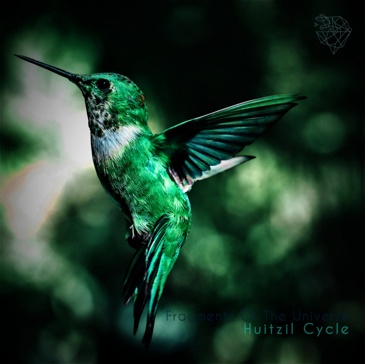 Huitzil Hummingbird