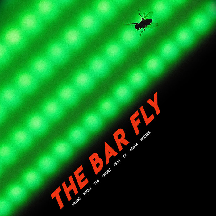 The Bar Fly | Adam Reczek