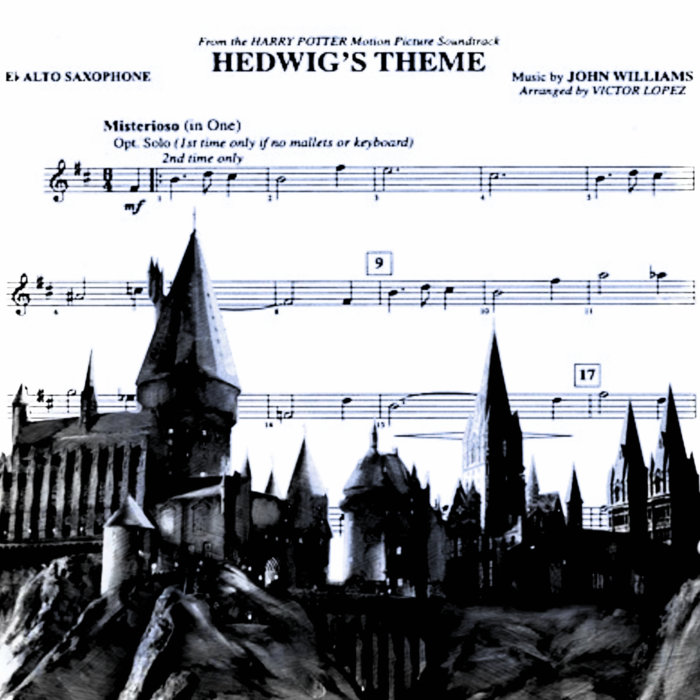 Hedwig's Theme (Harry Potter Cover) feat. Bethim James | Colin Brooklyn ...