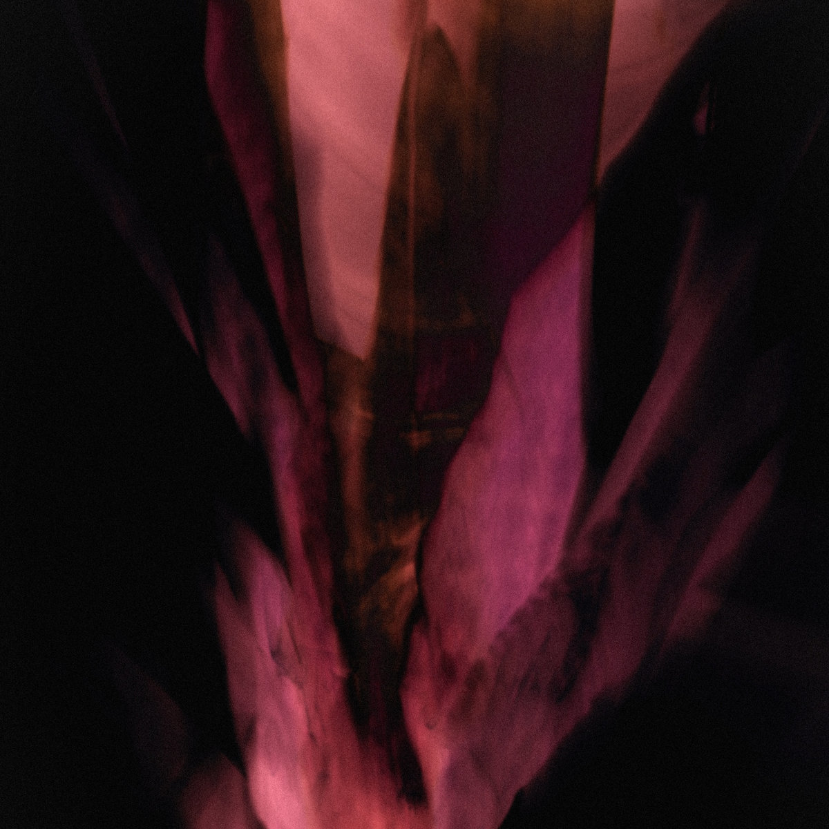 Movements in Stillness | Jordan Randall