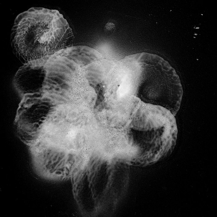 HIlogic | Thibaut Chatard