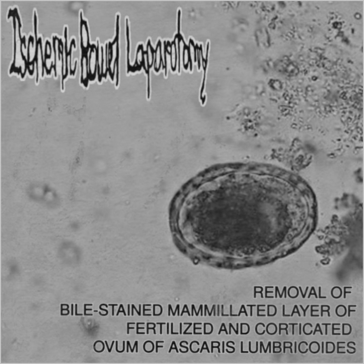 Removal of Bile-Stained Mammillated Layer of Fertilized and Corticated ...