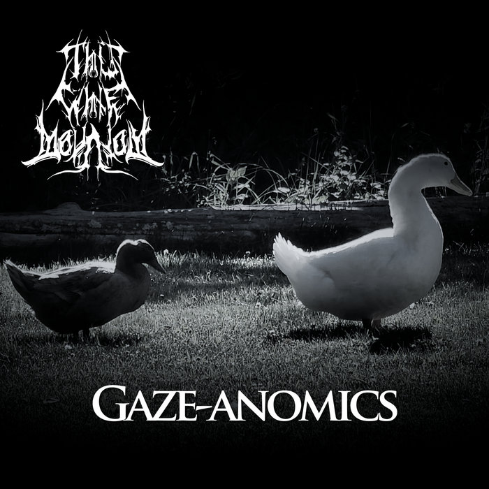 Gaze-anomics | This White Mountain | Fiadh Productions