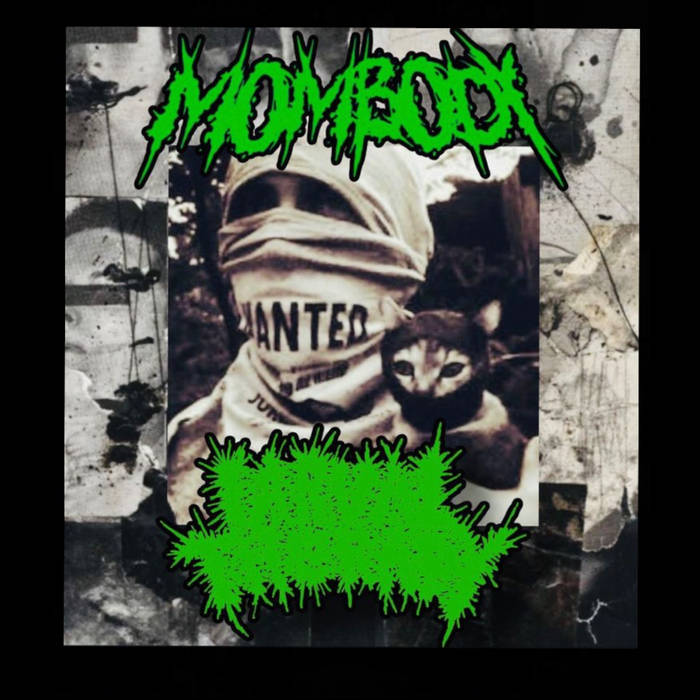 Mom Body split w/ Larval Therapy | Mom Body