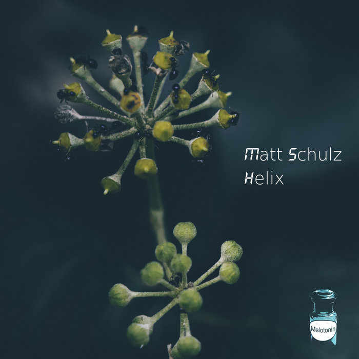 Helix | Matt Schulz | Melotonin