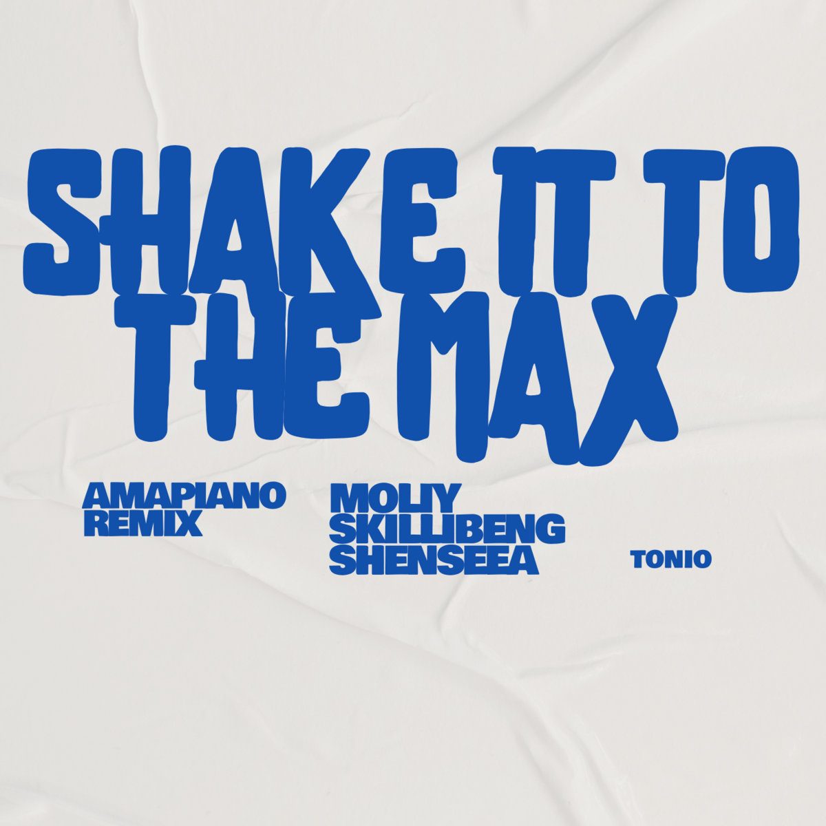 SHAKE IT TO THE MAX [TONIO REMIX] [AMAPIANO] | Tonioyoknow