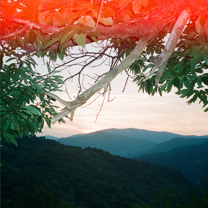 Cleo Sol - Golden Child Refix | Tom Manzarek