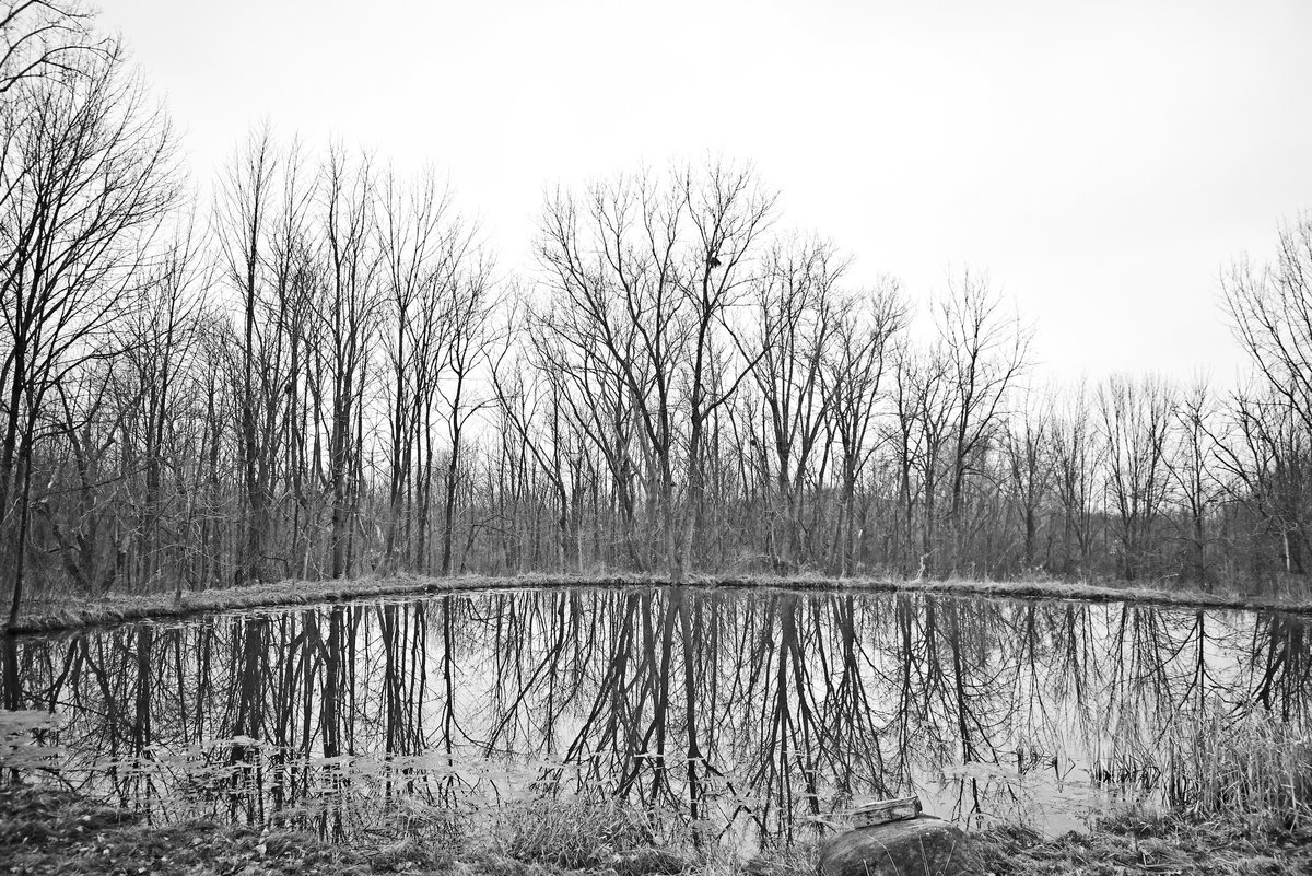 Trouble Me | Jesse Sprinkle