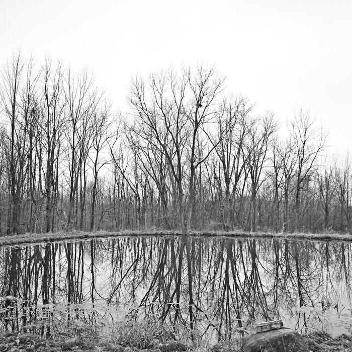 Trouble Me | Jesse Sprinkle