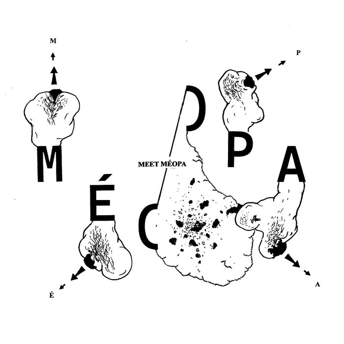 MEET MÉOPA | MÉOPA
