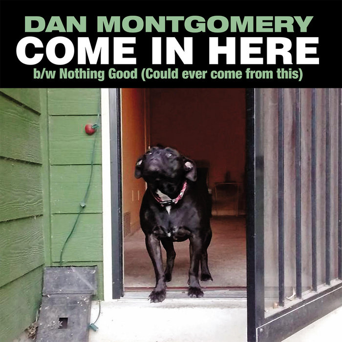 Come in Here | Dan Montgomery