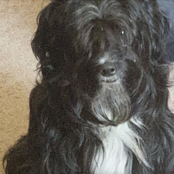 yucky | Michael Richey