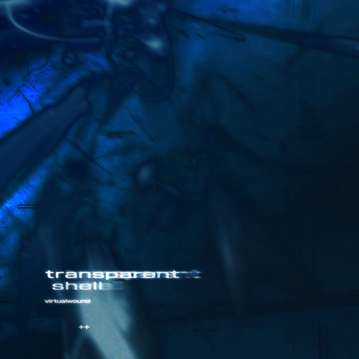 TRANSPARENT SHELL | virtualwound