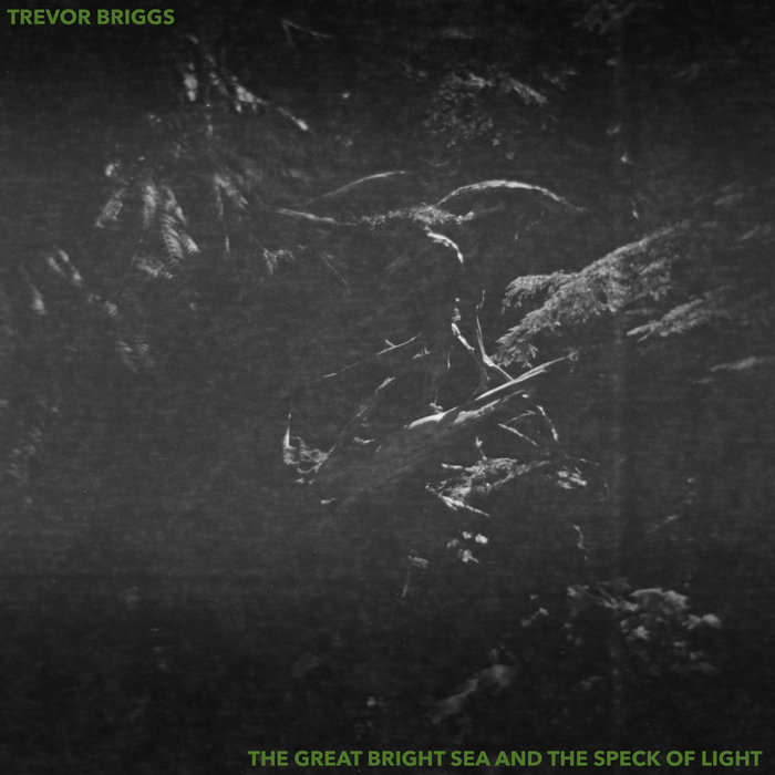The Great Bright Sea And The Speck Of Light | Trevor Briggs