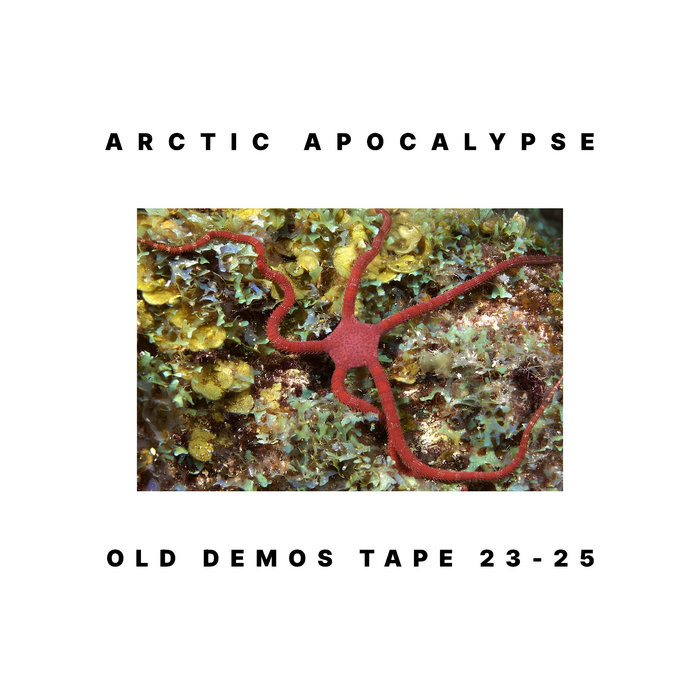 OLD DEMOS TAPE 22-25 | Arctic Apocalypse | Цветчное поле