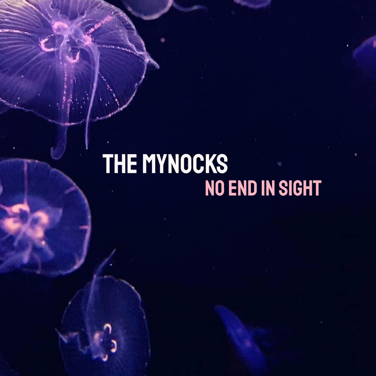 No End In Sight 2023 The Mynocks Gavin Conner no-end-in-sight-2023-the-mynocks-gavin-conner
