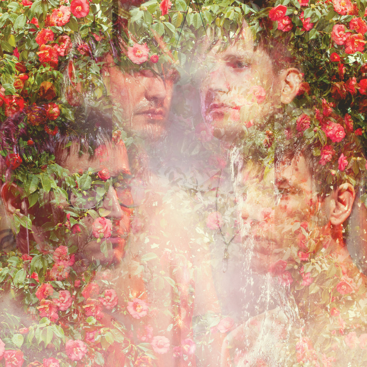 Strfkr Reptilians Album Cover