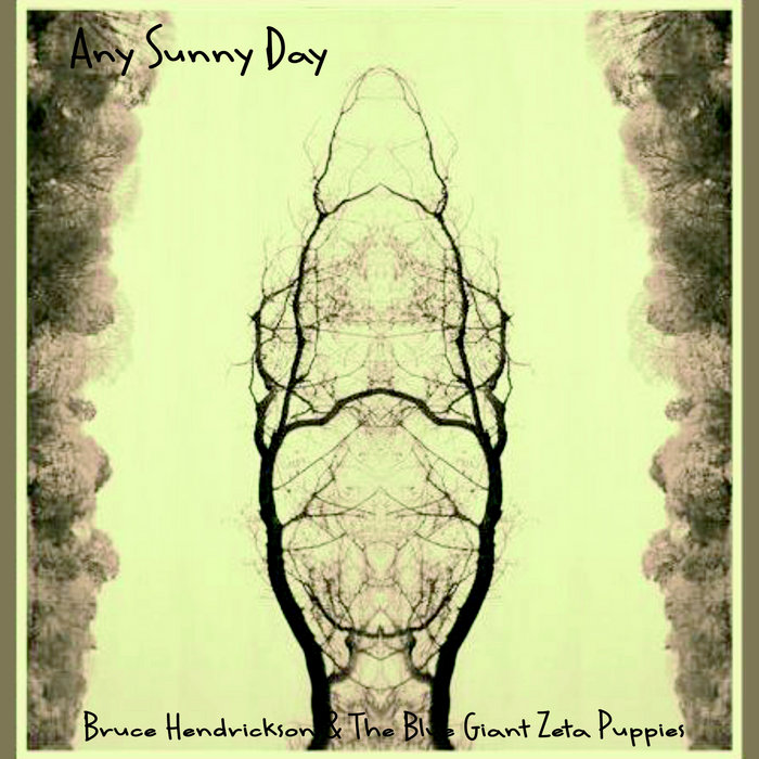 Any Sunny Day | Bruce Hendrickson & The Blue Giant Zeta Puppies