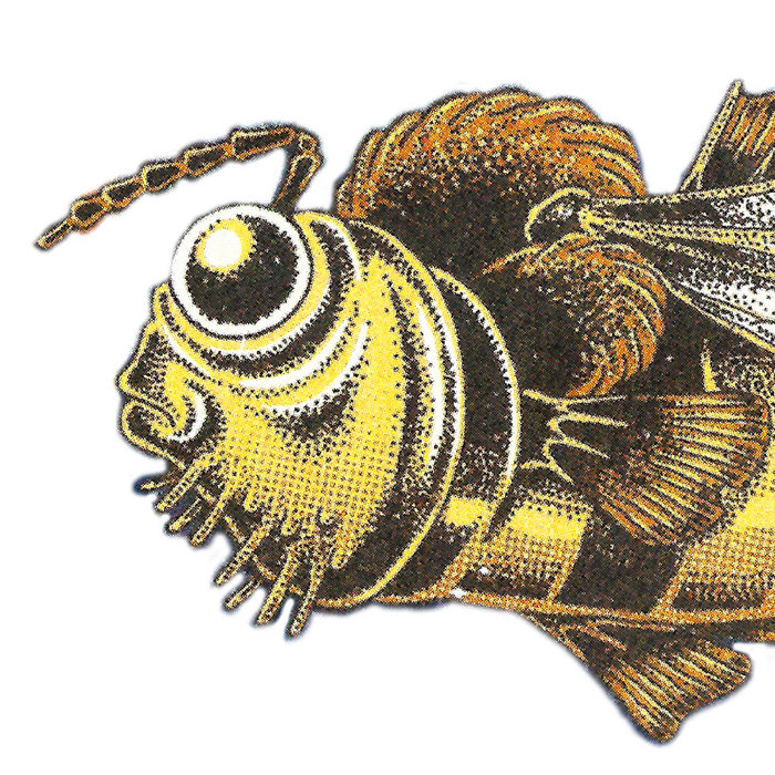 Beetronics Seabee | Emily Hopkins