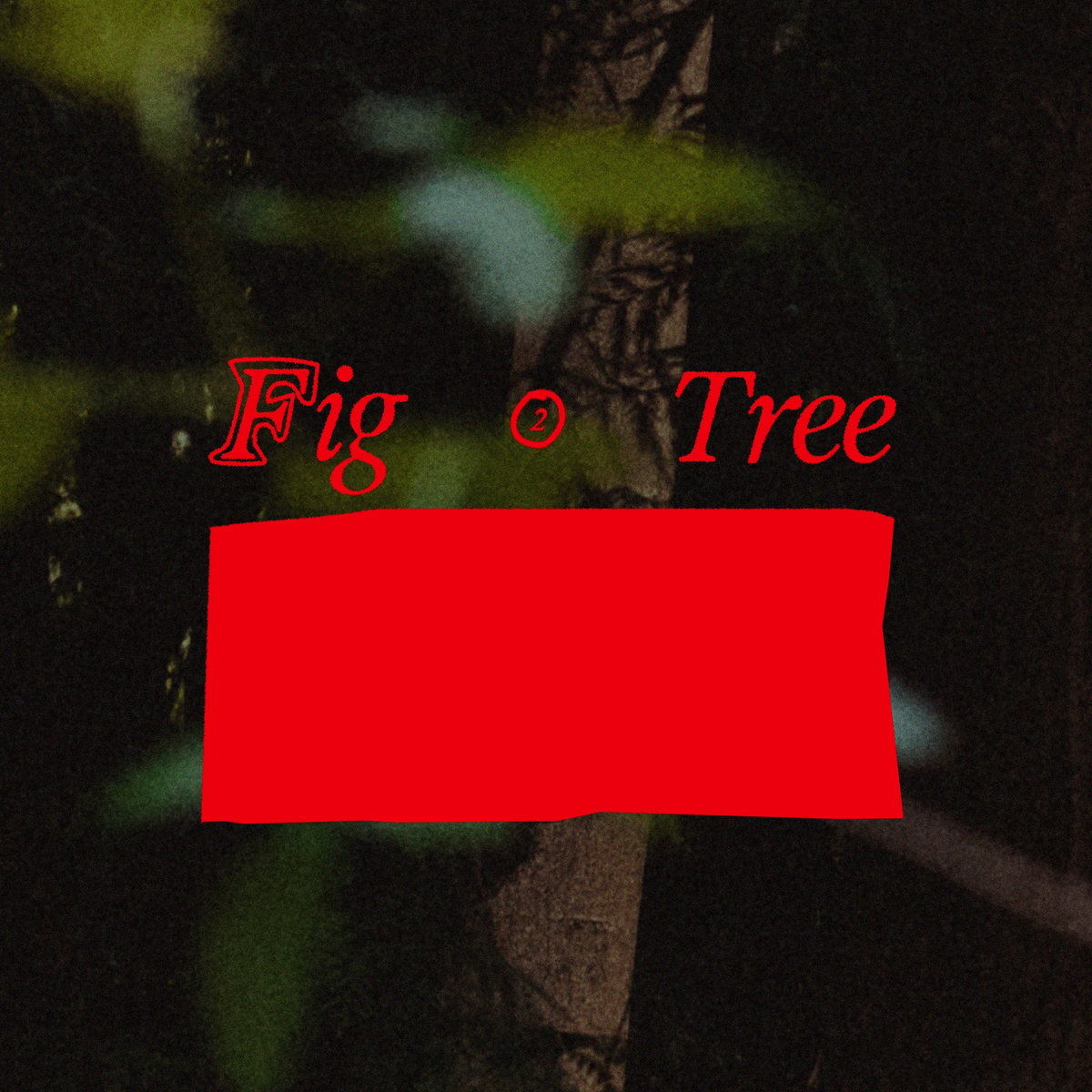 Fig Tree | Rupert Cox