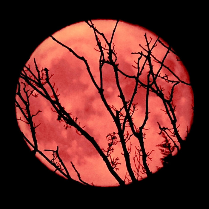 Hunters Moon | Crucial Spook | The Crucial Spook