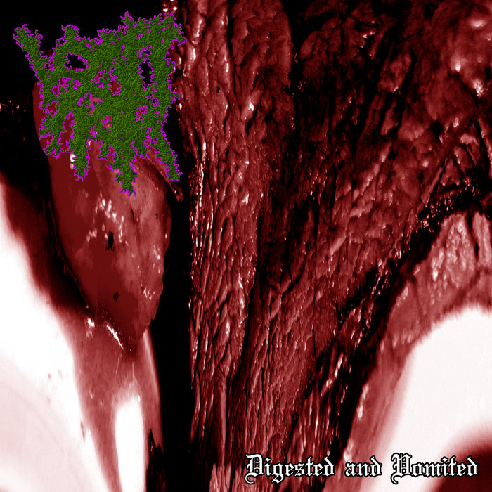 Digested And Vomited | Vomit Rain