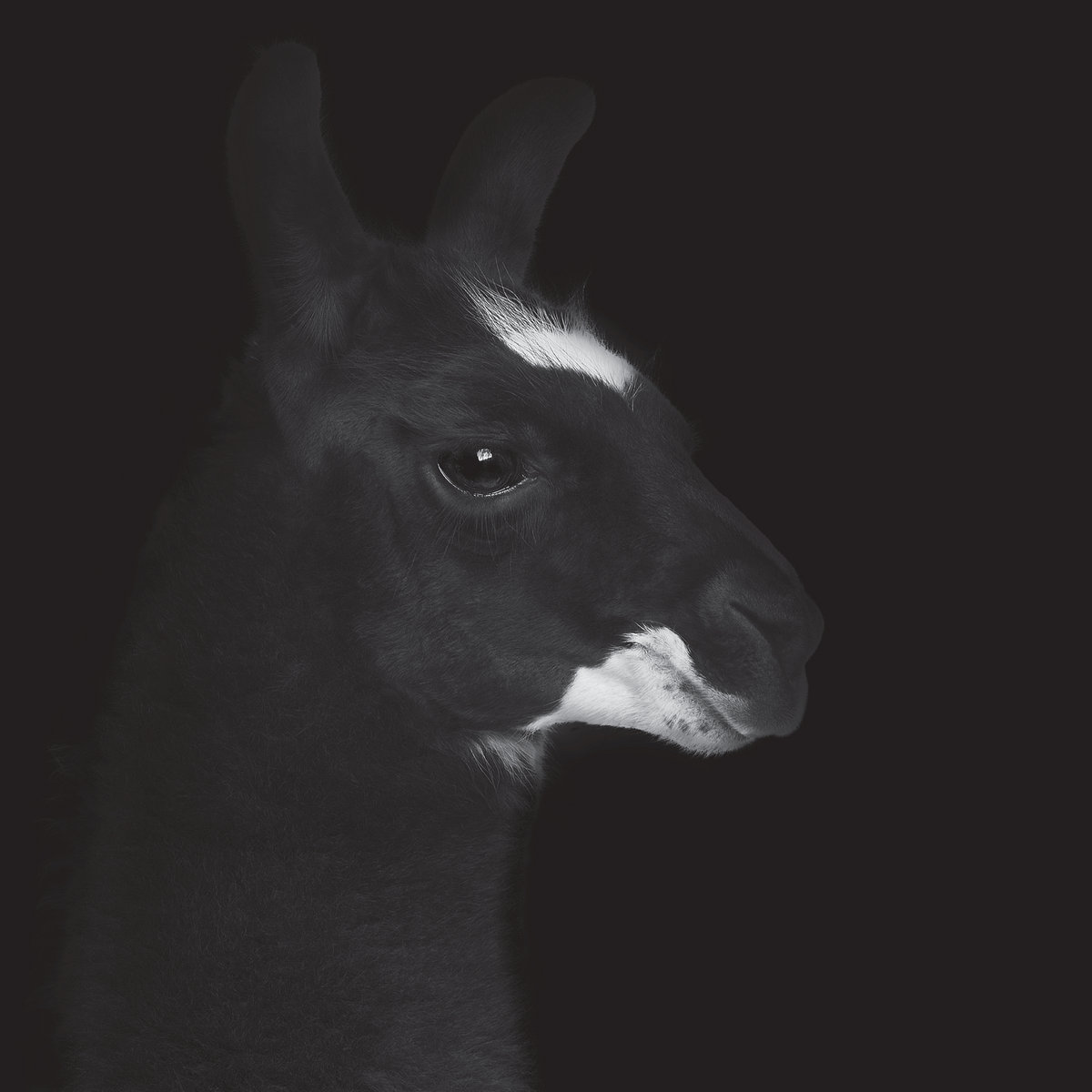 Graal EP | Rene Bourgeois | 3000° Grad