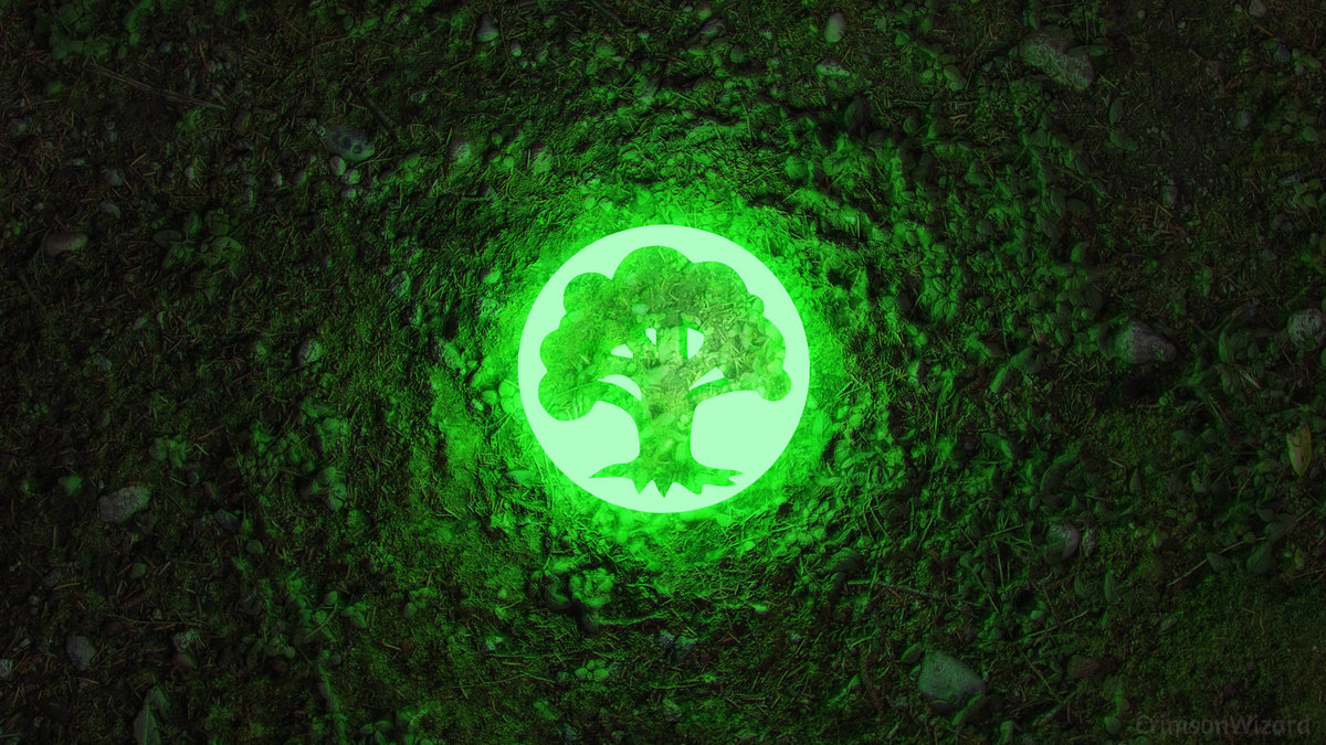 Forest Interval part I | Minor Erd Tree