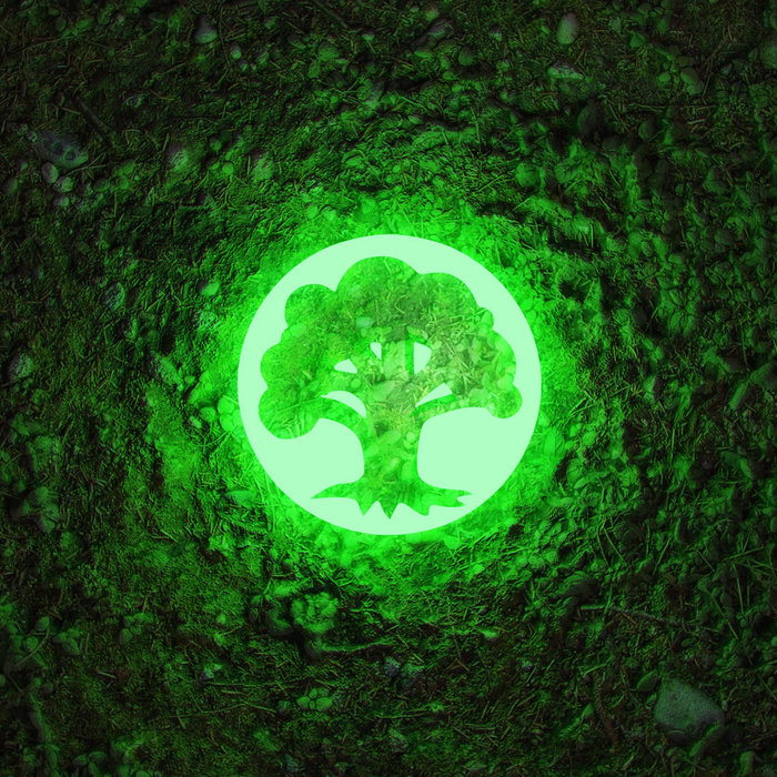 Forest Interval part I | Minor Erd Tree