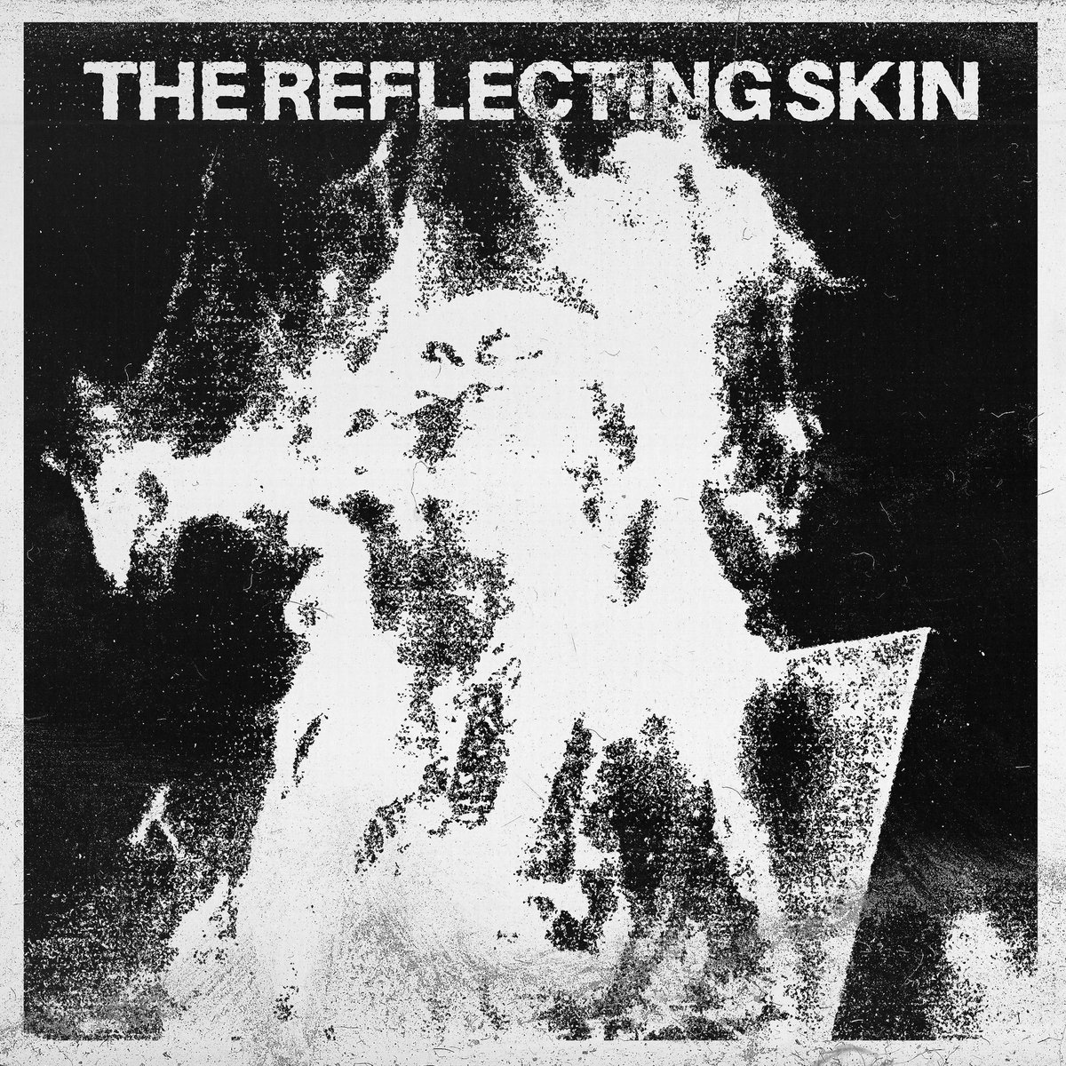 II | The Reflecting Skin