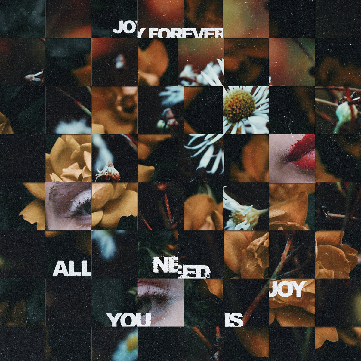 All You Need Is Joy | Joy Forever