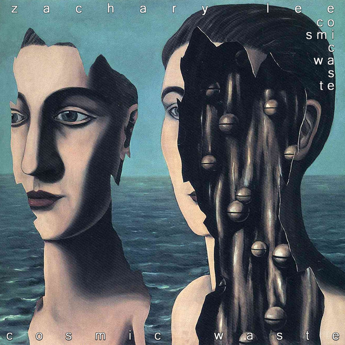 Cosmic Waste | Zachary Alan Lee