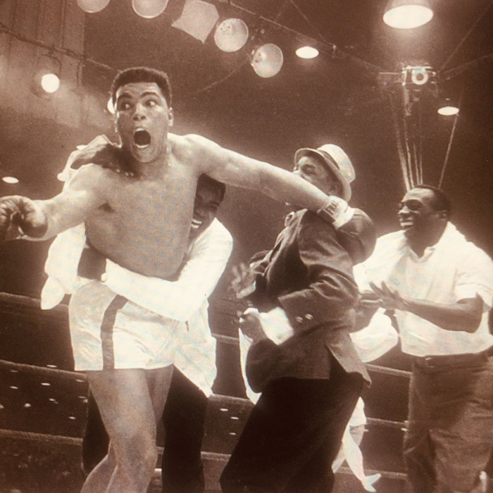 Take a dive | Sad Boxer