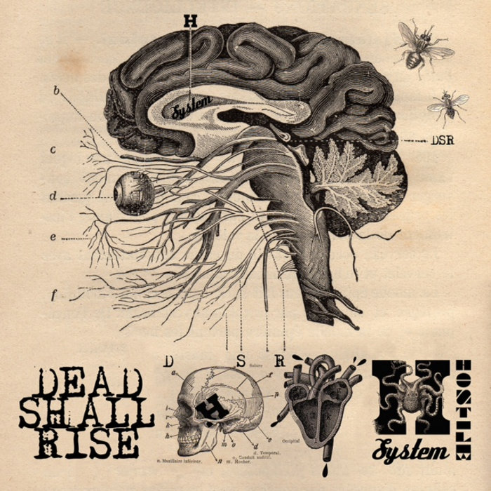 Split Dead Shall Rise / Hostile System | Dead Shall Rise / Hostile ...