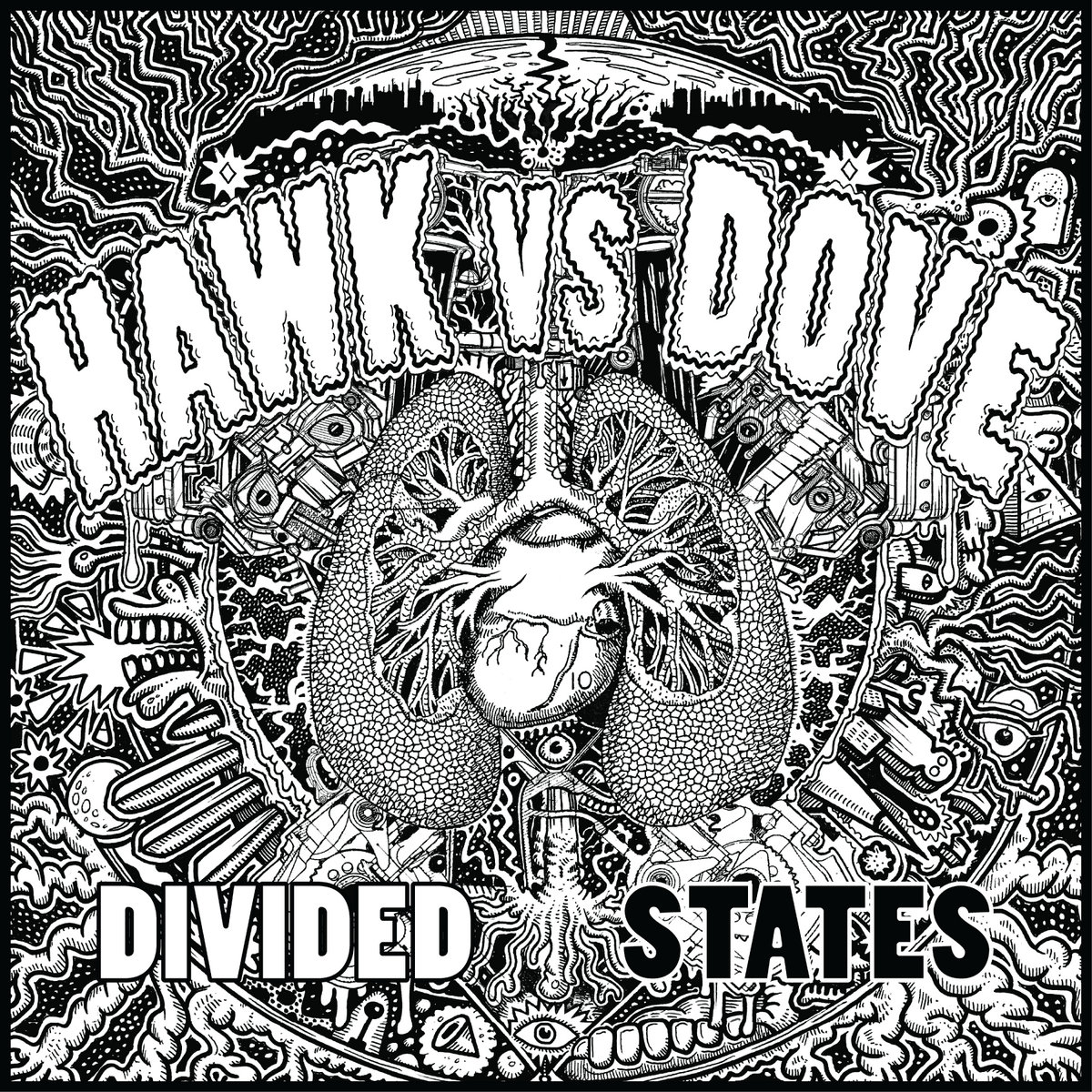Divided States | HAWK vs. DOVE