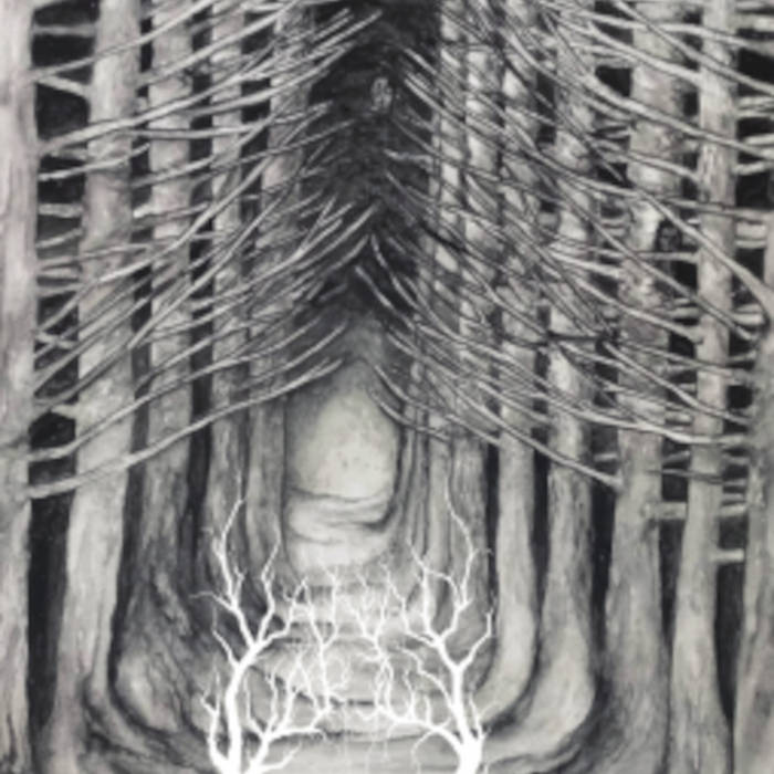 Kadunud Inimesed | Vanad Varjud