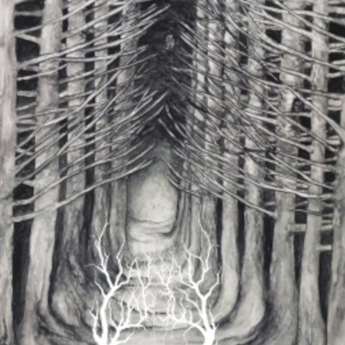 Kadunud Inimesed | Vanad Varjud