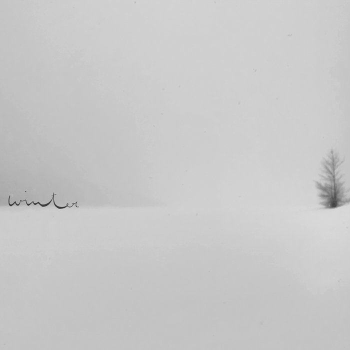 winter | molly leach