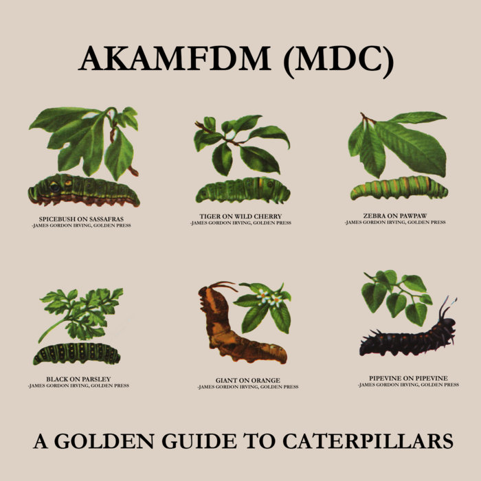 A GOLDEN GUIDE TO CATERPILLARS | AKAMFDM (MDC) | Mother Russia Industries