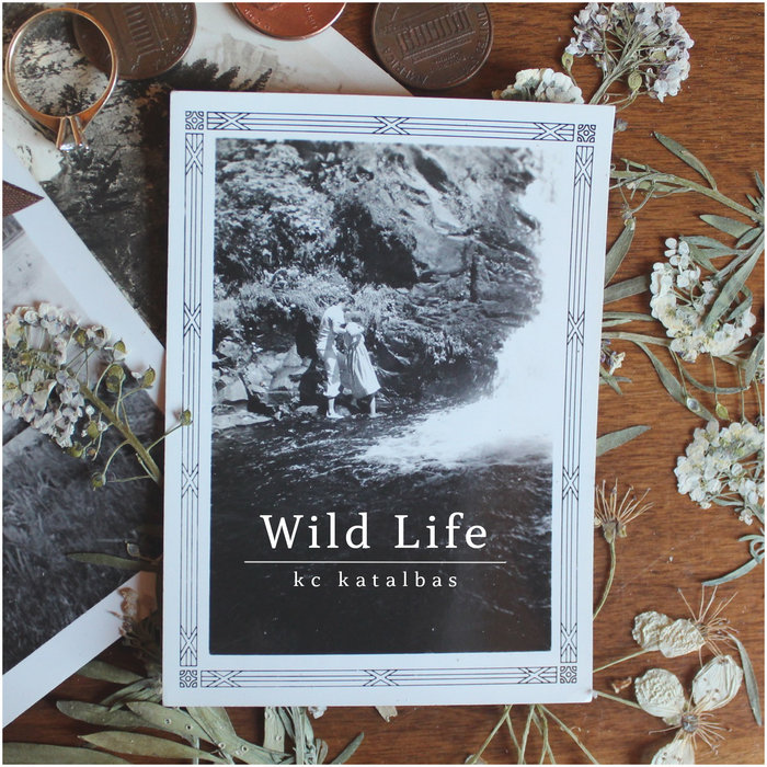 Wild Life | KC Katalbas