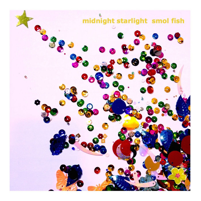 Midnight Starlight | smol fish