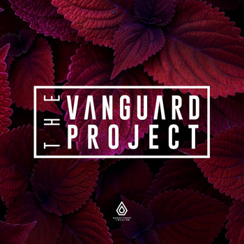 Music | Spearhead Records