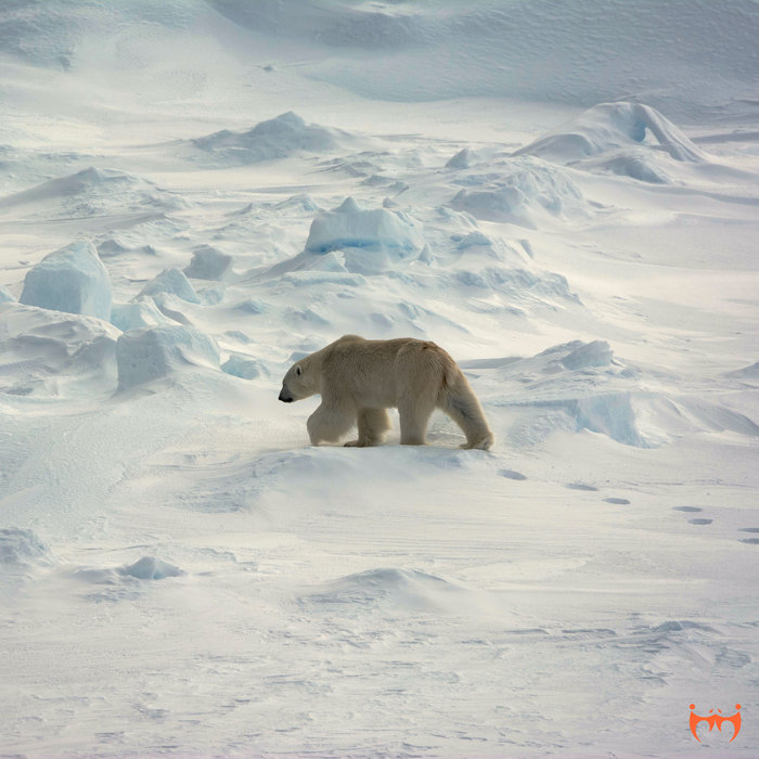 Space Between Stuff | Terrill Mast