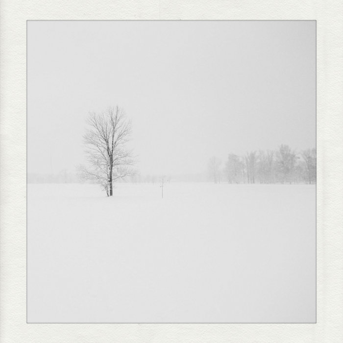 The Colour Of Snow | HERE | whitelabrecs