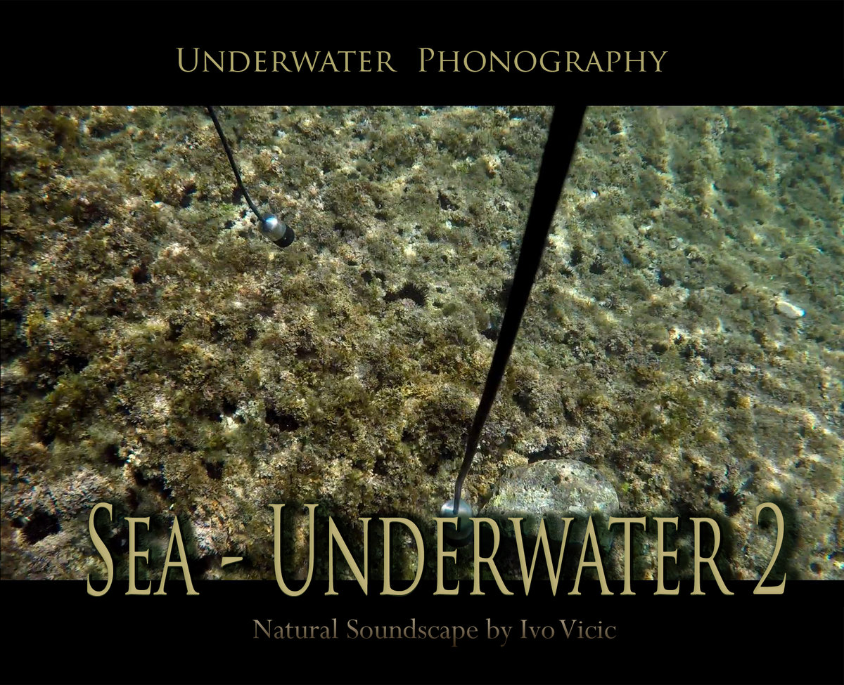 Sea - Underwater 2 Phonography | Ivo Vicic