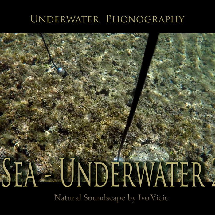 Sea - Underwater 2 Phonography | Ivo Vicic