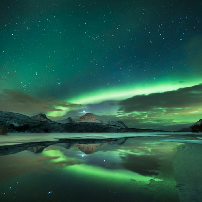 Johnson Nguyen - Back To Life | Genuine