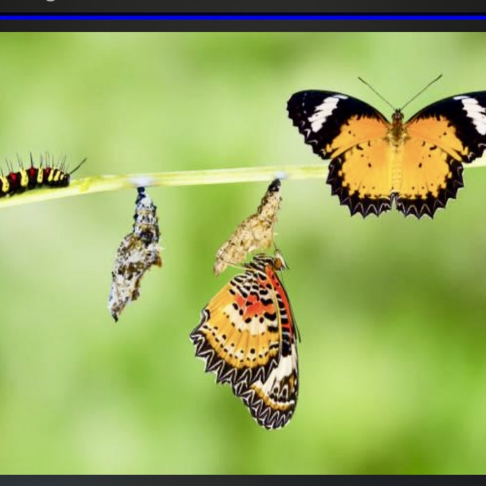 EVERYDAY LIFE SONGS | RUTH ANDERSON | Ruth Anderson